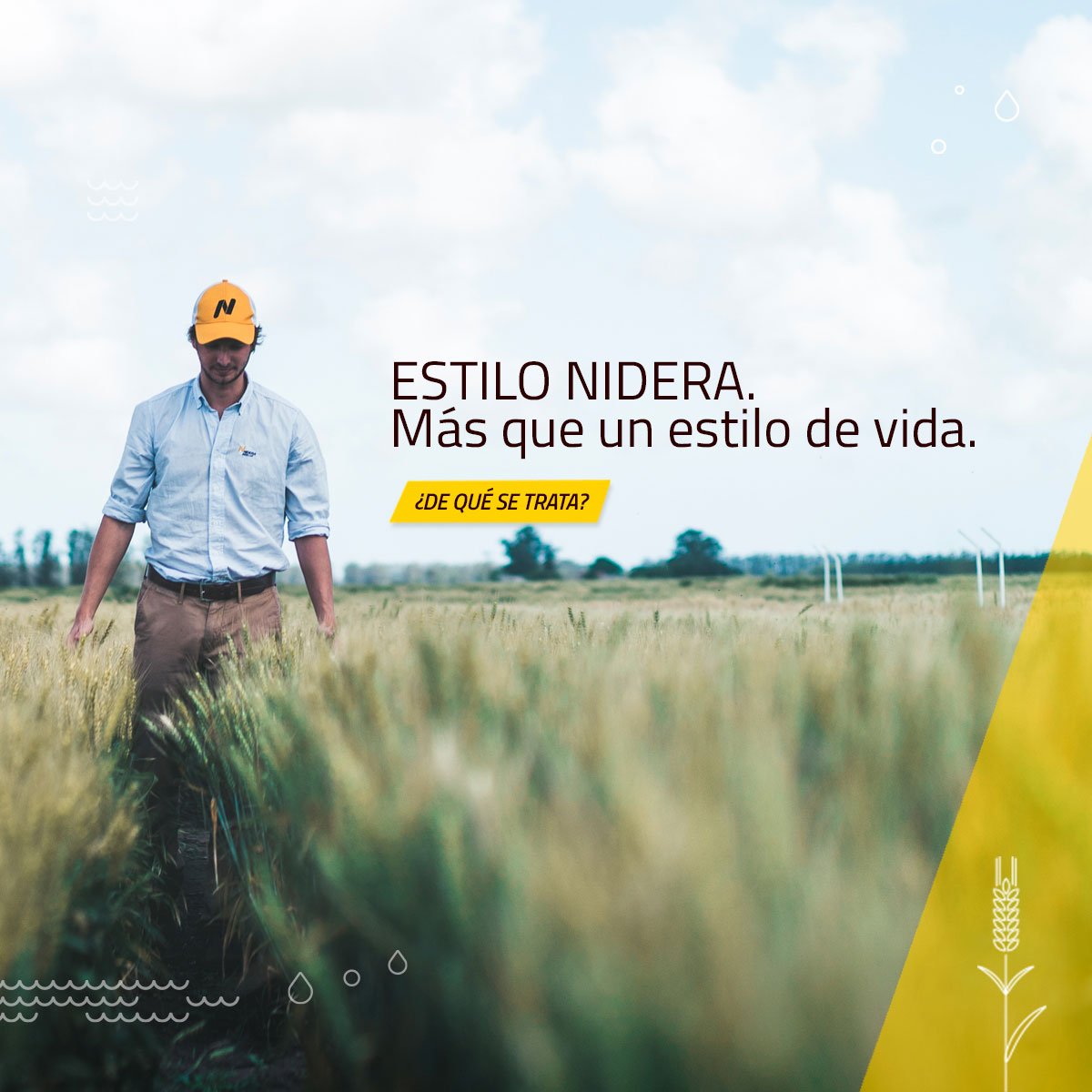 Estilo Nidera – Nidera Semillas